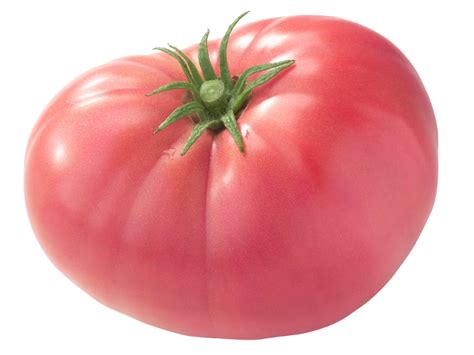 Types Of Pink Tomatoes Exploring 10 Best Varieties Of Pink And Pink