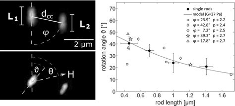 Left Lscm Image Gaussian Filtered Of A Pair Of Nanorods Texture