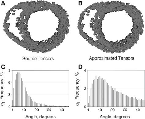 Tensor Interpolation And Comparison With The Original Dtmr Imaging Data