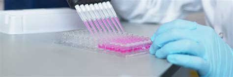 Detection Of Human Matrix Metalloproteinase 9 In Complex Sample Matrices A Comparison Of