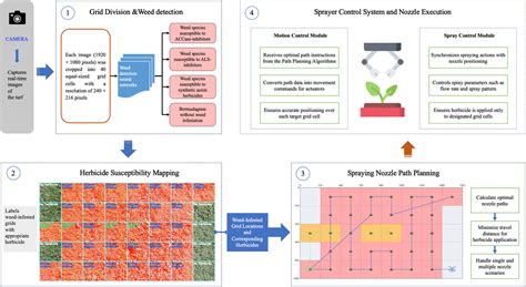 Deep Learning‐based Weed Detection For Precision Herbicide Application