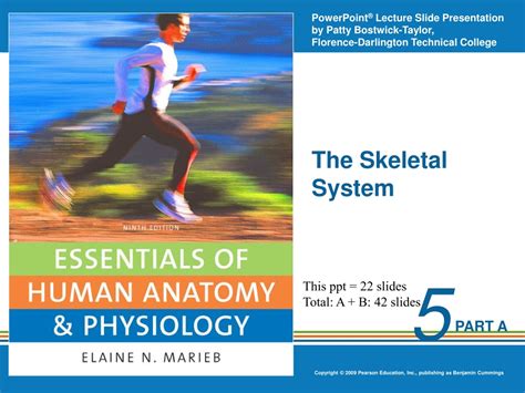 ppt the skeletal system powerpoint presentation free download id