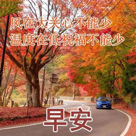 冬日早安日常祝福语大全 冬天早安动态图片大全漂亮 愉度 回窝 季节