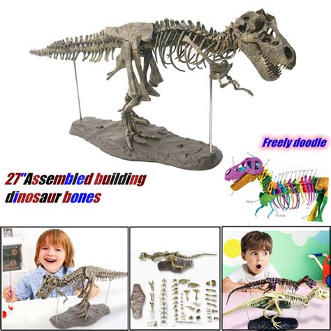 4d Tyrannosaurus Fossil Skeleton Model Length 70cm Diy Dinosaur