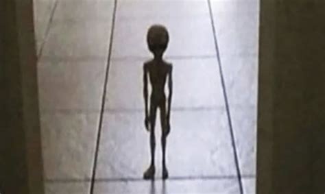 Tiny Alien Blank Template Imgflip