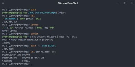 Windows 中运行 Linux 命令的方法：wsl、git Bash、cygwin、虚拟机安装linux、busybox、powershell、cmder、x Cmd各种工具集