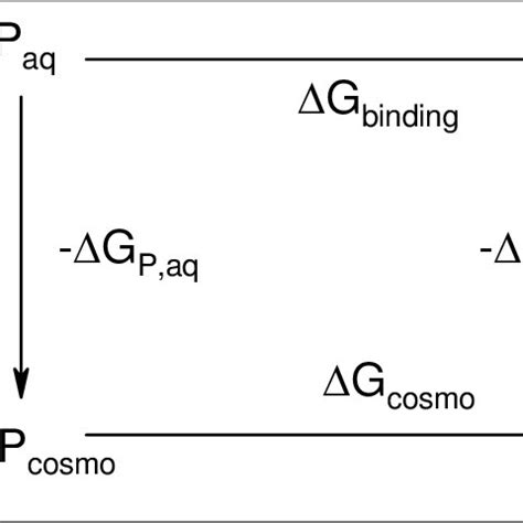 Thermodynamic Cycle For The Equilibrium Binding Free Energy Gbinding Download Scientific