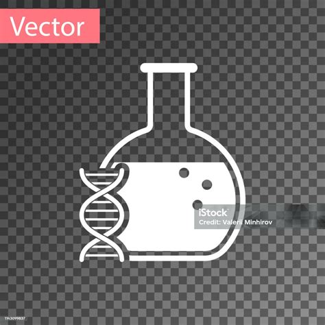 흰색 Dna 연구 투명 한 배경에 고립 된 검색 아이콘 유전 공학 유전학 테스트 복제 친자 확인 검사 벡터 일러스트 0명에 대한 스톡 벡터 아트 및 기타 이미지 Istock