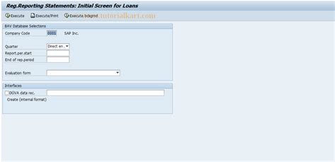 FZB5 SAP Tcode Statements FZB5 SAP Tcode Statements