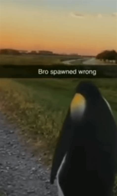 bro spawned wrong r the8bitryanreddit