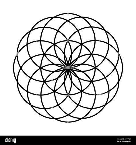 Black Outlined Flower Of Life Pattern Featuring Interlocking Circles On