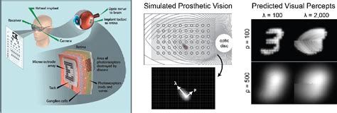Figure 2 From A Hybrid Neural Autoencoder For Sensory Neuroprostheses And Its Applications In