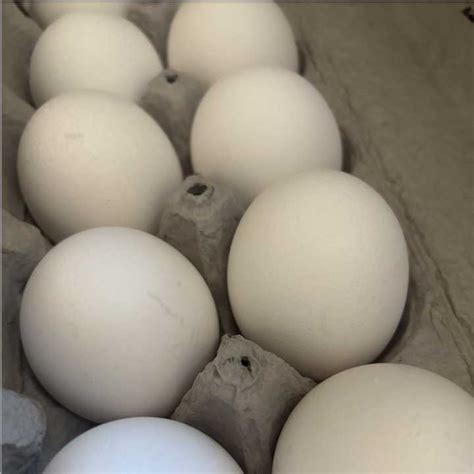 Egg Prices Now Expected To Rise Twice As High As Earlier Projections In