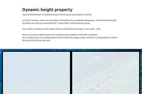 dynamic height webflow
