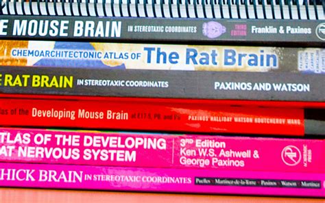 Neura High Resolution Mri Atlas Of The Mouse Brain Neuroscience…