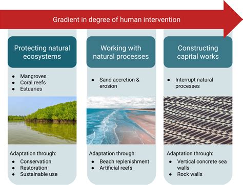 Ecosystem Based Adaptation Pacific Ecoadapt
