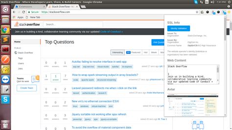 EKO Extension EchoLink 0 0 1 Documentation