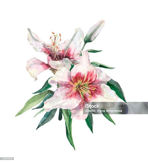 하얀 백합의 피는 꽃의 여름 결혼식 부케 꽃 구성 손으로 그린 수채화 그림은 카드 인쇄물 배너 청첩장 인쇄를 위해 흰색 배경에