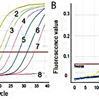 Multiplex Real Time RT PCR Standard Curves For A Wild Type And B Download Scientific
