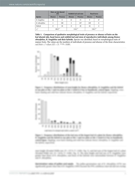 Solution Hybridization Between Alien Species Rumex Obtusifolius And