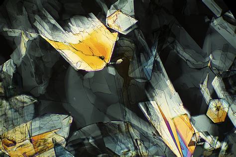 Sh Sib Swiss Institute Of Bioinformatics Open Access Government