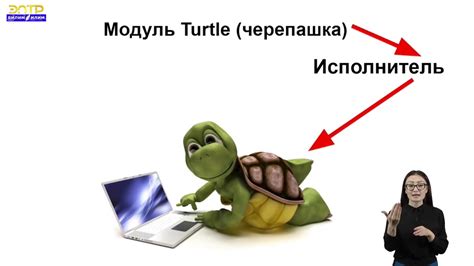 8 класс СУРДО Информатика Работа с графикой Phyton Youtube