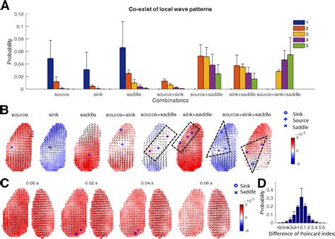 Cortex Wide Dynamics Of Intrinsic Electrical Activities Propagating Waves And Their