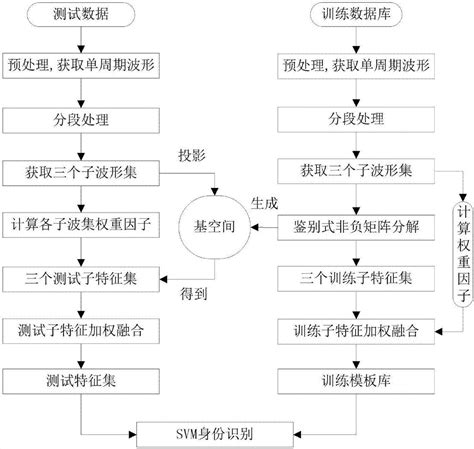 Identity Recognition Method Based On Human Body Ppg Signal Segmentation Eureka Patsnap