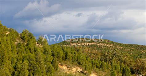 الاشجار والنباتات الخضراء، الجبال والمرتفعات، جمال الطبيعة الخلابة