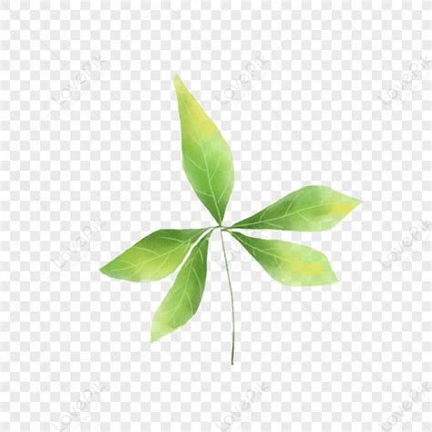 귀여운 일러스트 만화 손으로 그린 잎 요소 작은 그림 그라데이션 녹색 노란색주형현대의 Png 일러스트 무료 다운로드 Lovepik