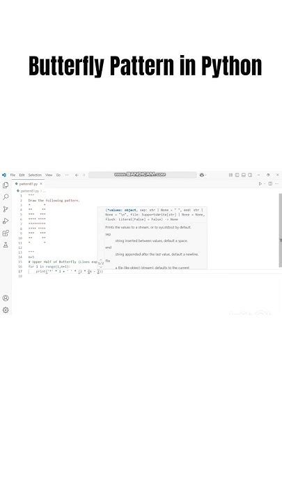 Butterfly Pattern In Python Youtube Youtubeshorts Youtuber
