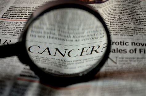 6 Becas De Investigación Sobre El Cáncer Convocadas En Alemania Cde