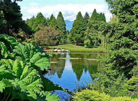 Vandusen Botanical Garden Guide A Vancouver Oasis By Bus