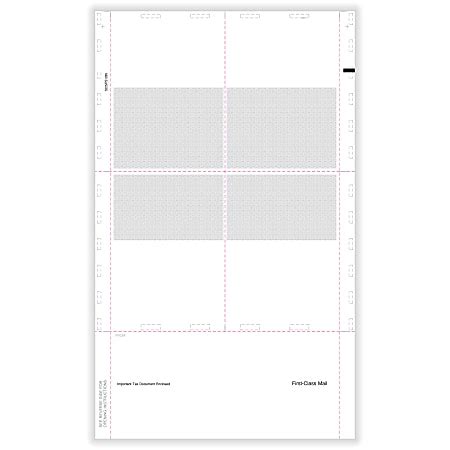 ComplyRight W 2 Tax Forms Blank Face With Backer Instructions 2 Up Laser 8 12 X 11 Pack Of 100