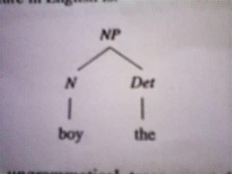 phrase structure rules