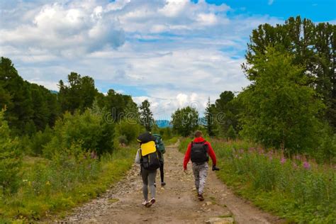 3 туриста 2 девушки и один мальчик с рюкзаками идут вниз с Стоковое Изображение изображение