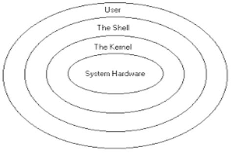 Send Unix Shell Script To Replace One String With Another In A Recursive Manner By Bkumar72 Fiverr