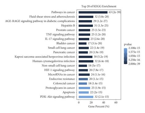 Bar Plot Of KEGG Pathway Analysis Note Gene Percent X Axis And
