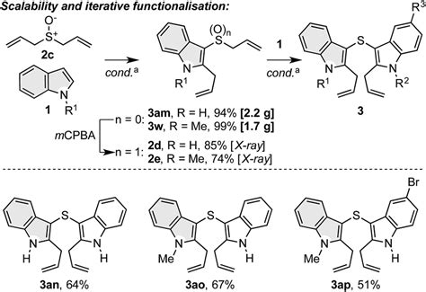 Scalability Of The Dual Functionalisation Cascade Of Indoles And