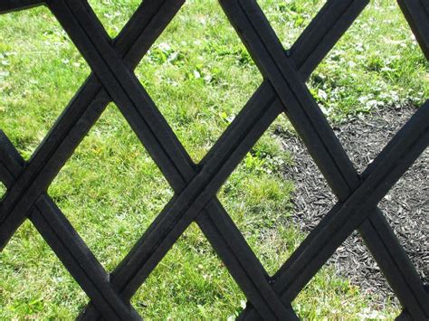 Elements Of Art Project Introduction To Photography