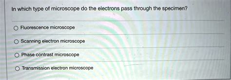 In Which Type Of Microscope Do The Electrons Pass Through The Specimen