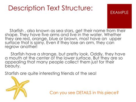 Text Structure Powerpoint