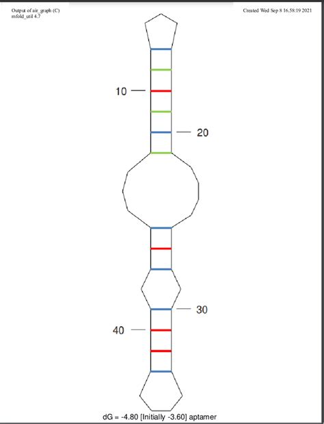 Secondary Structure Aptamer Rna 1 Red Optimal Energy Green Second