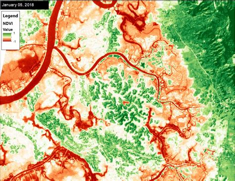 ndvi wcs