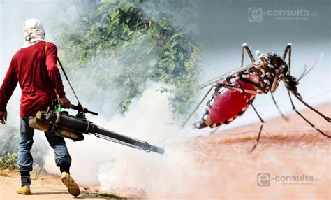 Reporta Salud 72 Casos De Fiebre Por Dengue En Regiones De Puebla