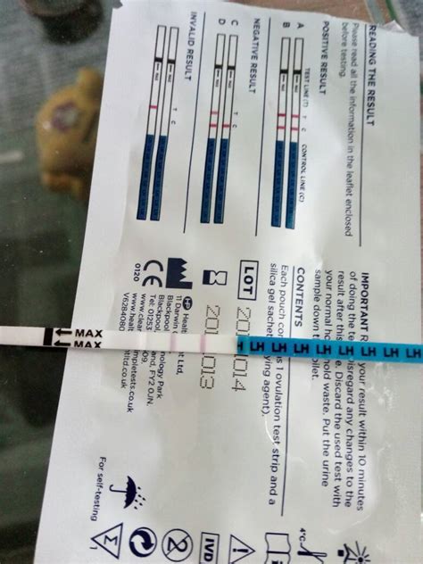 How Do You Read These Ovulation Tests