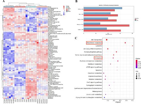 Metabolomic Analysis Reveals Biogenic Selenium Nanoparticles Improve The Meat Quality Of Thigh