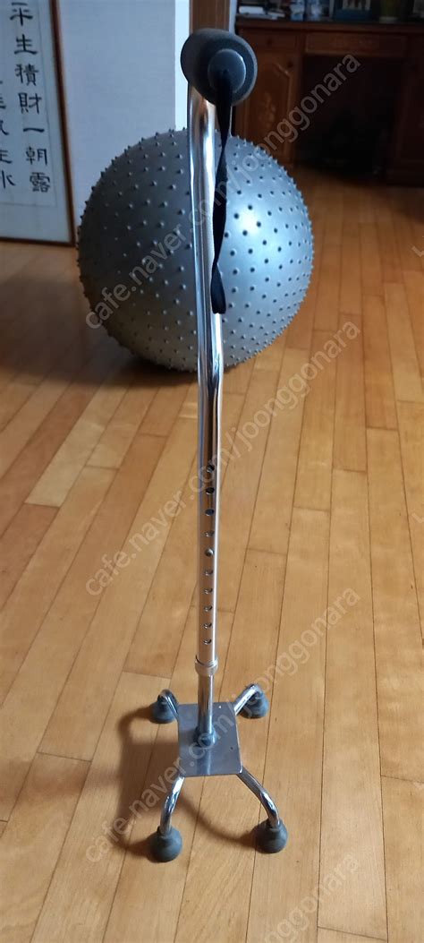 4구 지팡이 중고거래 중고나라