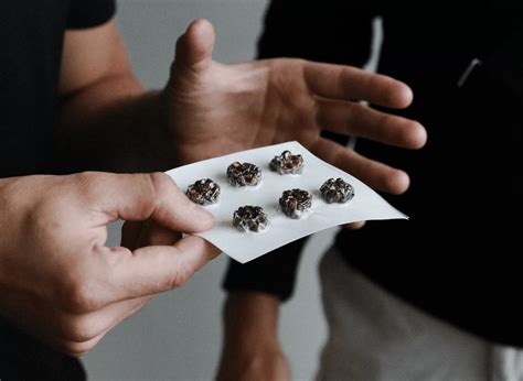 Microdose Pro Upgrade Your Productivity Creativity And Mood