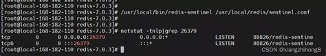 redis sentinel哨兵模式部署 程序猿dd